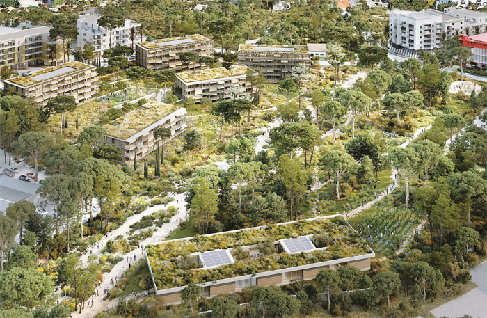 Antibes : bientôt une FORET URBAINE AU COMBES - In Magazines